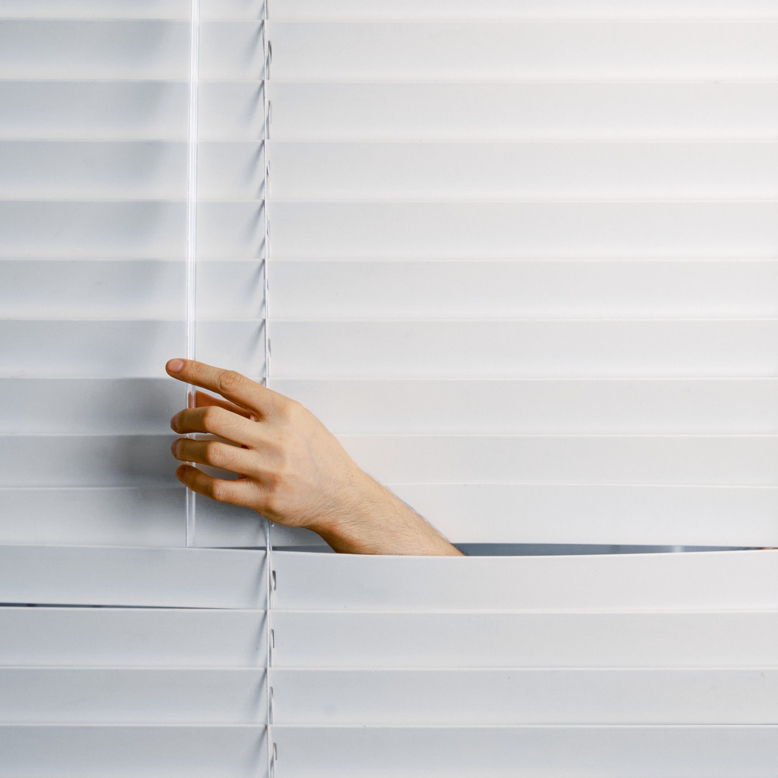 Milwaukee's Best (Official Lyric Video) | The Wrecks